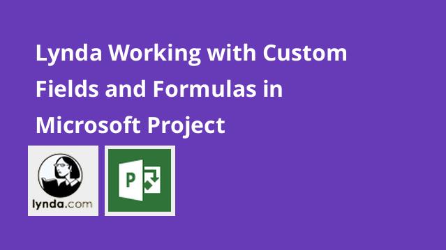 Working with Custom Fields and Formulas in Microsoft Project