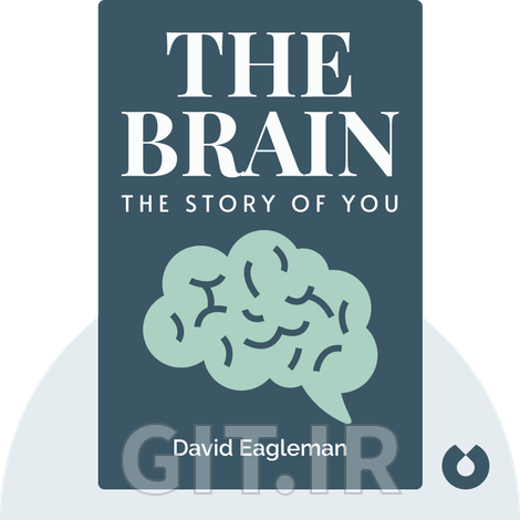 The Brain Summary of Key Ideas and Review | David Eagleman