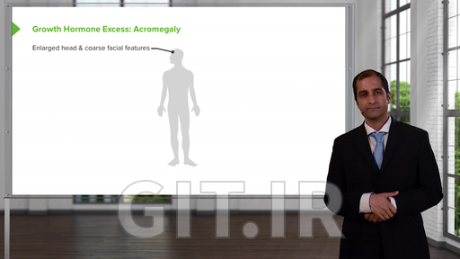 Macrocytic Anemia – Red Blood Cell Pathology (RBC)