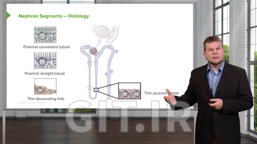 Fluid and Electrolyte Balance - Medical Course | Carlo Raj | Lecturio