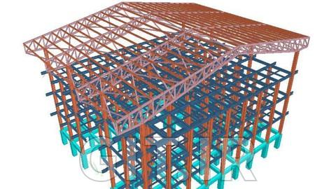 STAAD PRO & RCDC Complete Building Design & Detailing Course