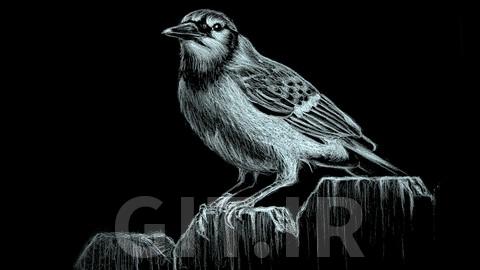 Udemy Datamine Studio Op : Mine Design Basics