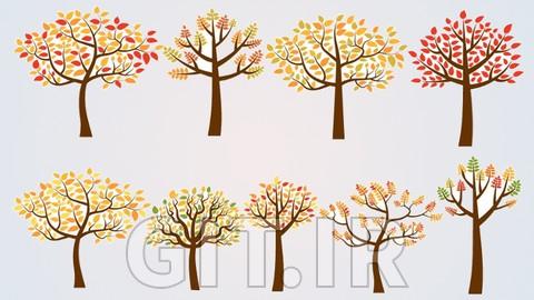 Mastering Image Segmentation with PyTorch