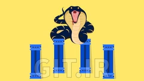 Advanced OOP with Python. Beyond the basics.