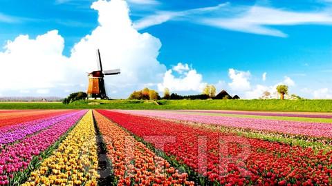 Dutch Vocabulary Mastery: Learn Essential Dutch Words